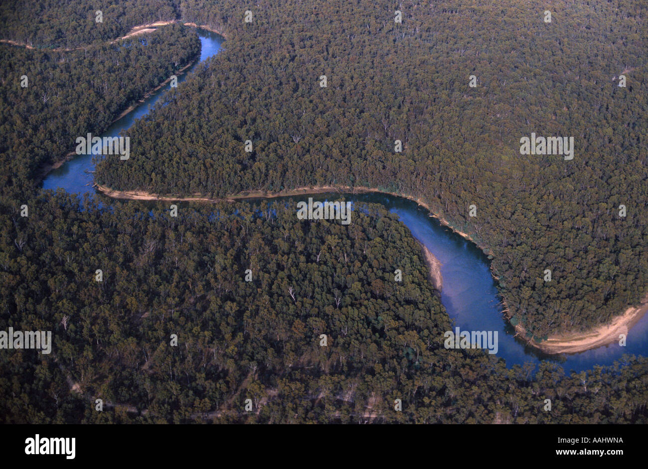 The Barmah Forest follows the Murray River, , Central Murray Riverina ...