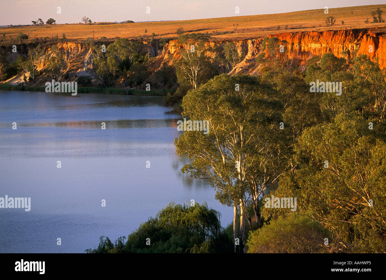 Murray River, South Australia Stock Photo - Alamy