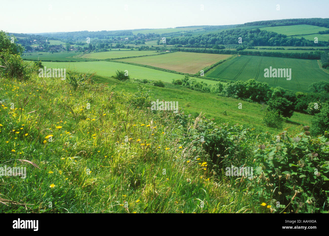 View from the heights of Hod Hill Dorset Stock Photo - Alamy
