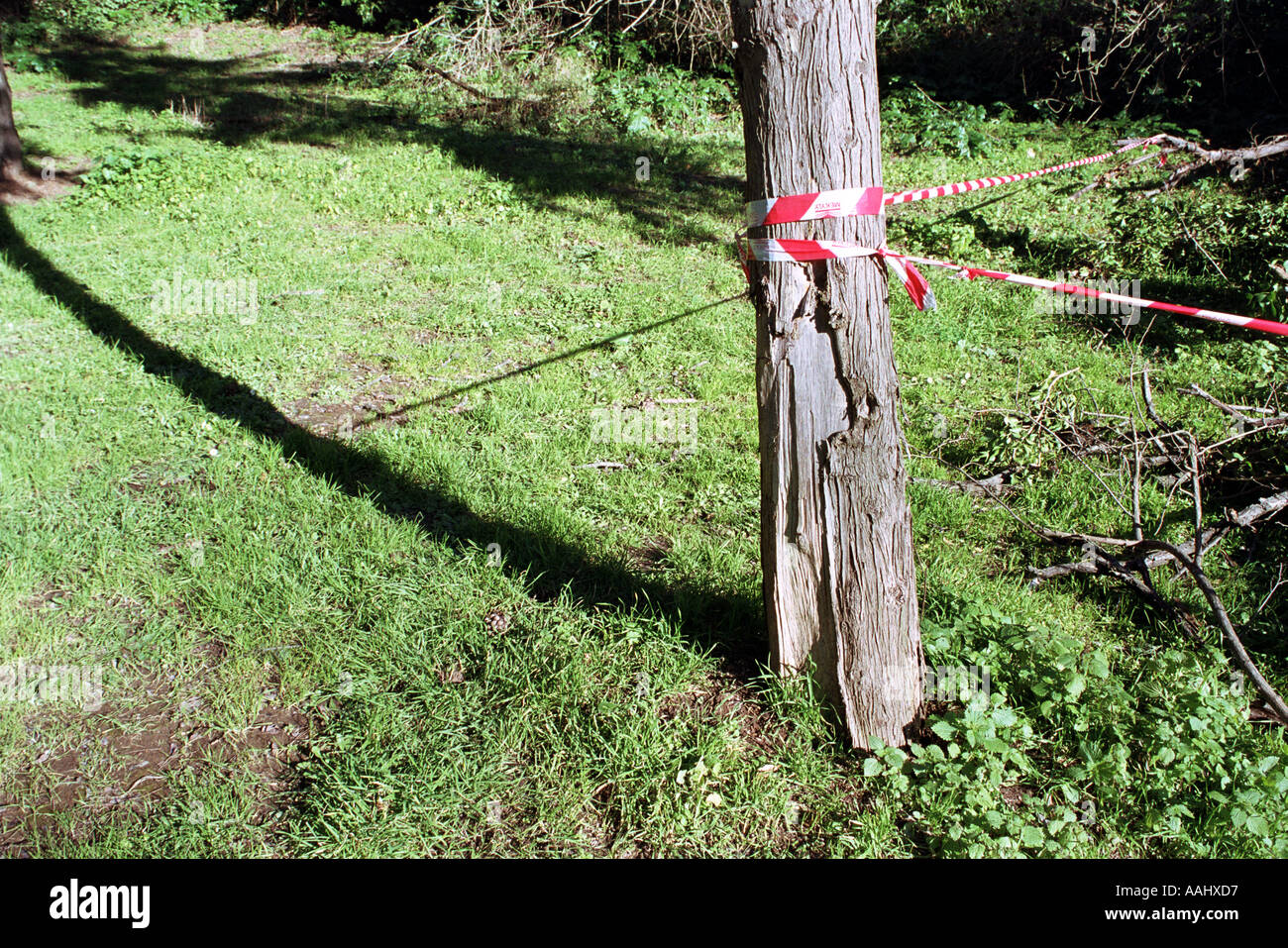 Cordoned crime scene tape hi-res stock photography and images - Alamy