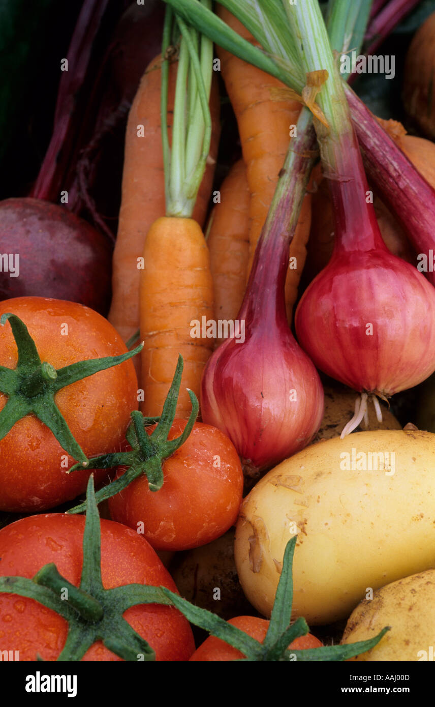 Small vegetable plot uk hi-res stock photography and images - Alamy