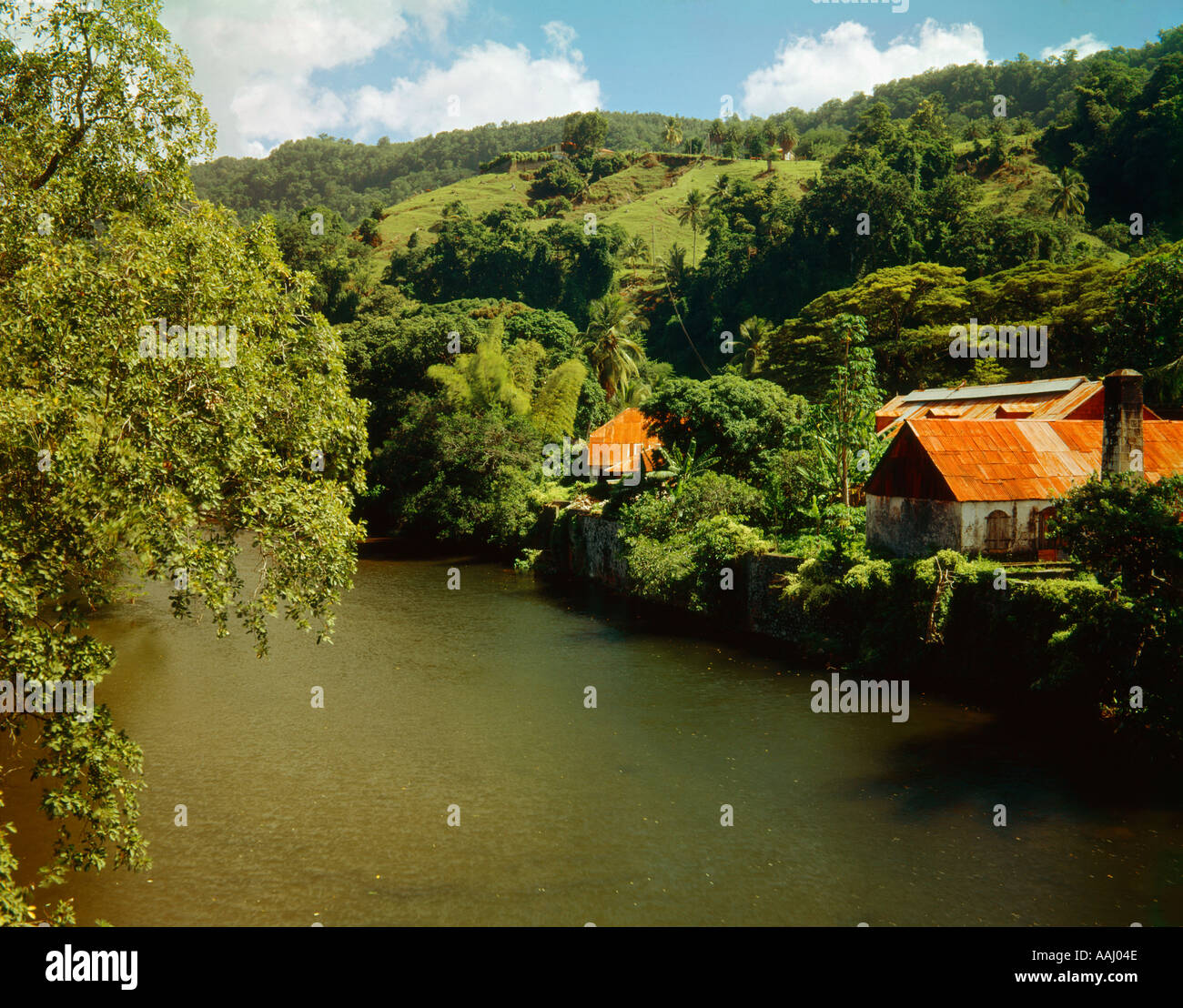 Indian River Dominica High Resolution Stock Photography and Images - Alamy