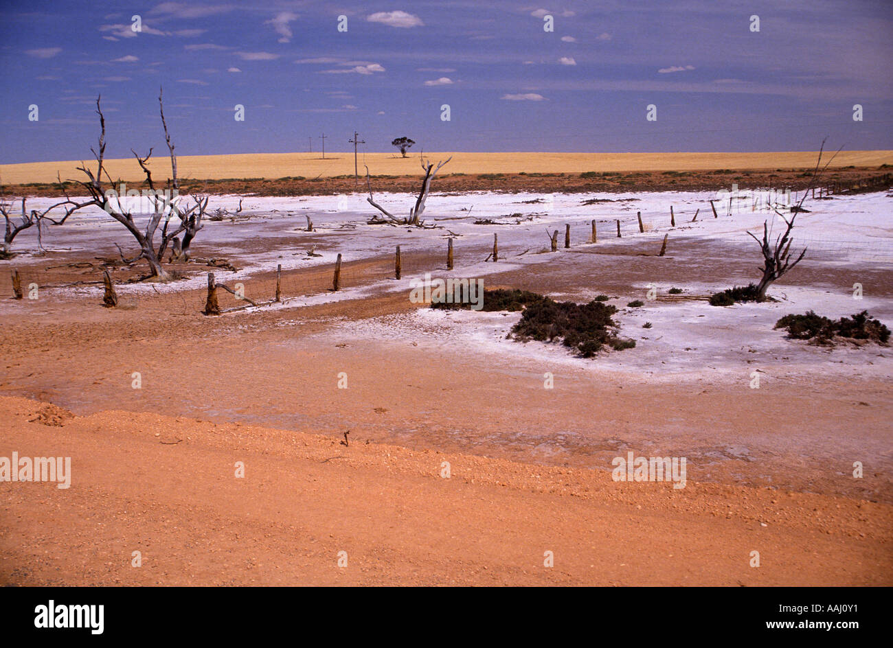 Salt affected leached leaching deposits evaporation evaporated crust hi ...