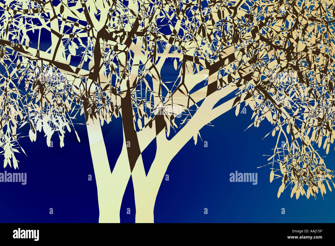 Stylized tree branches hi-res stock photography and images - Alamy