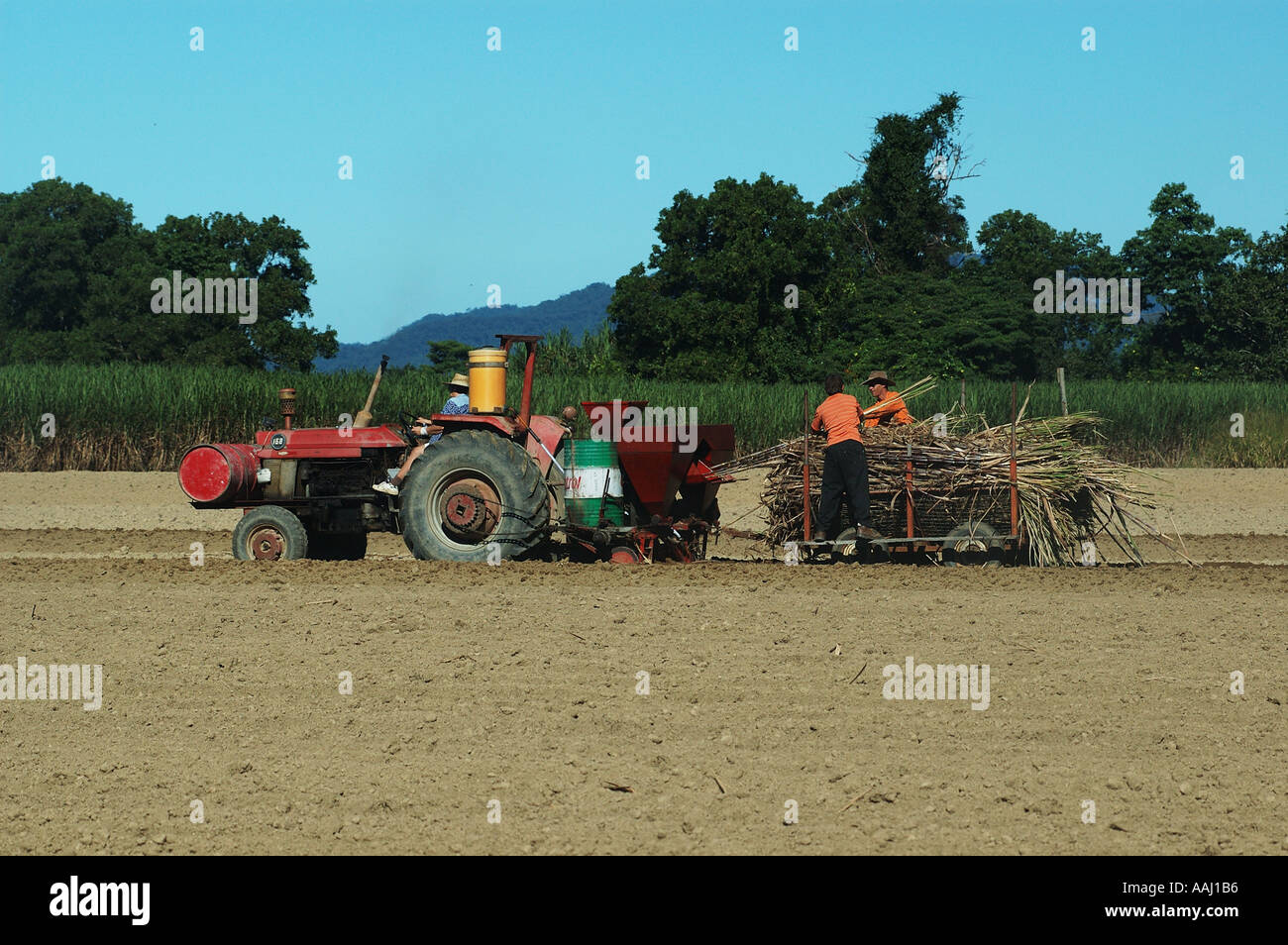 Queensland sugar planting hi-res stock photography and images - Alamy