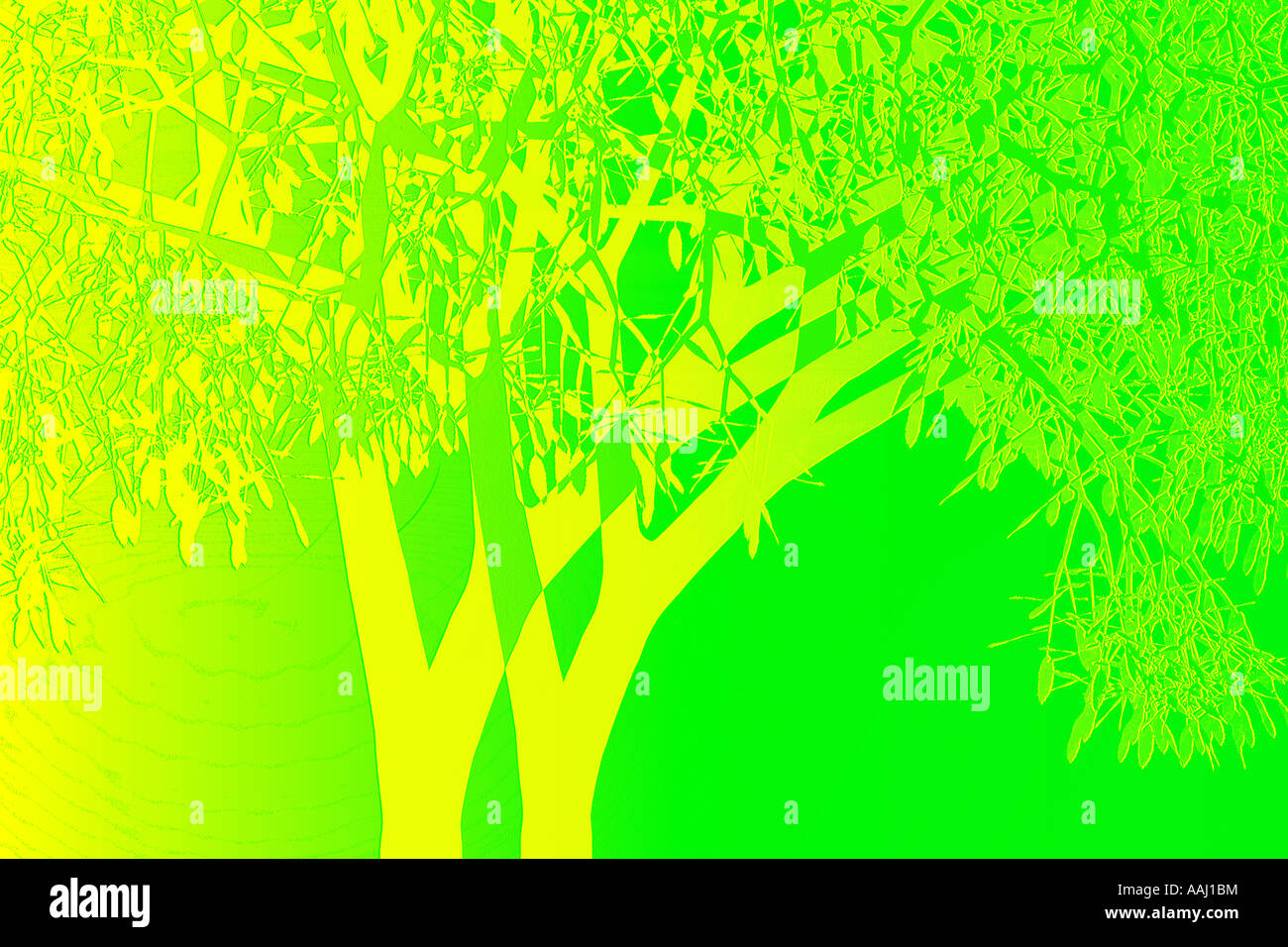 Stylized tree branches hi-res stock photography and images - Alamy