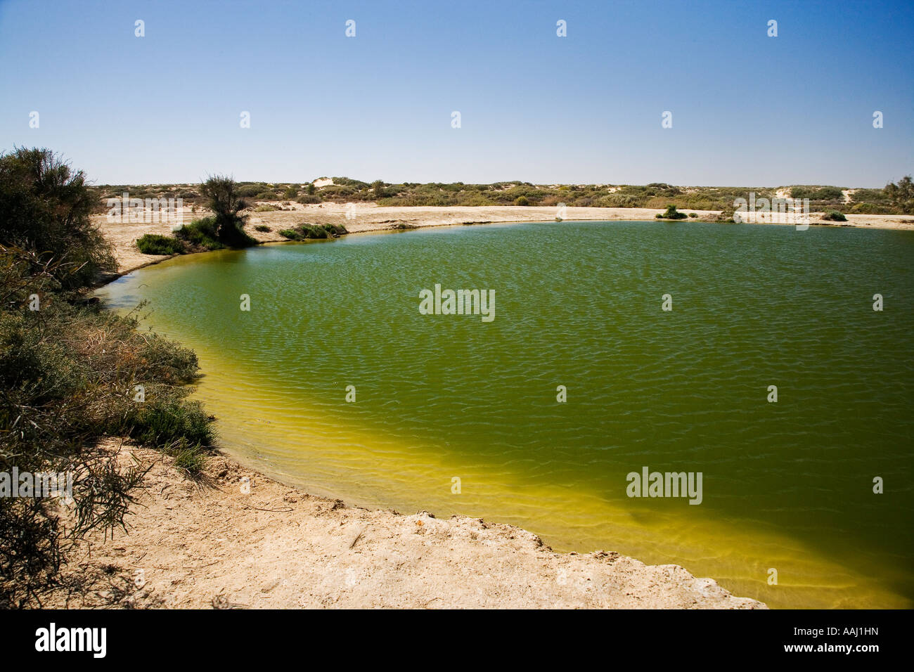 Montecollina Bore Strzelecki Track Outback South Australia Australia ...