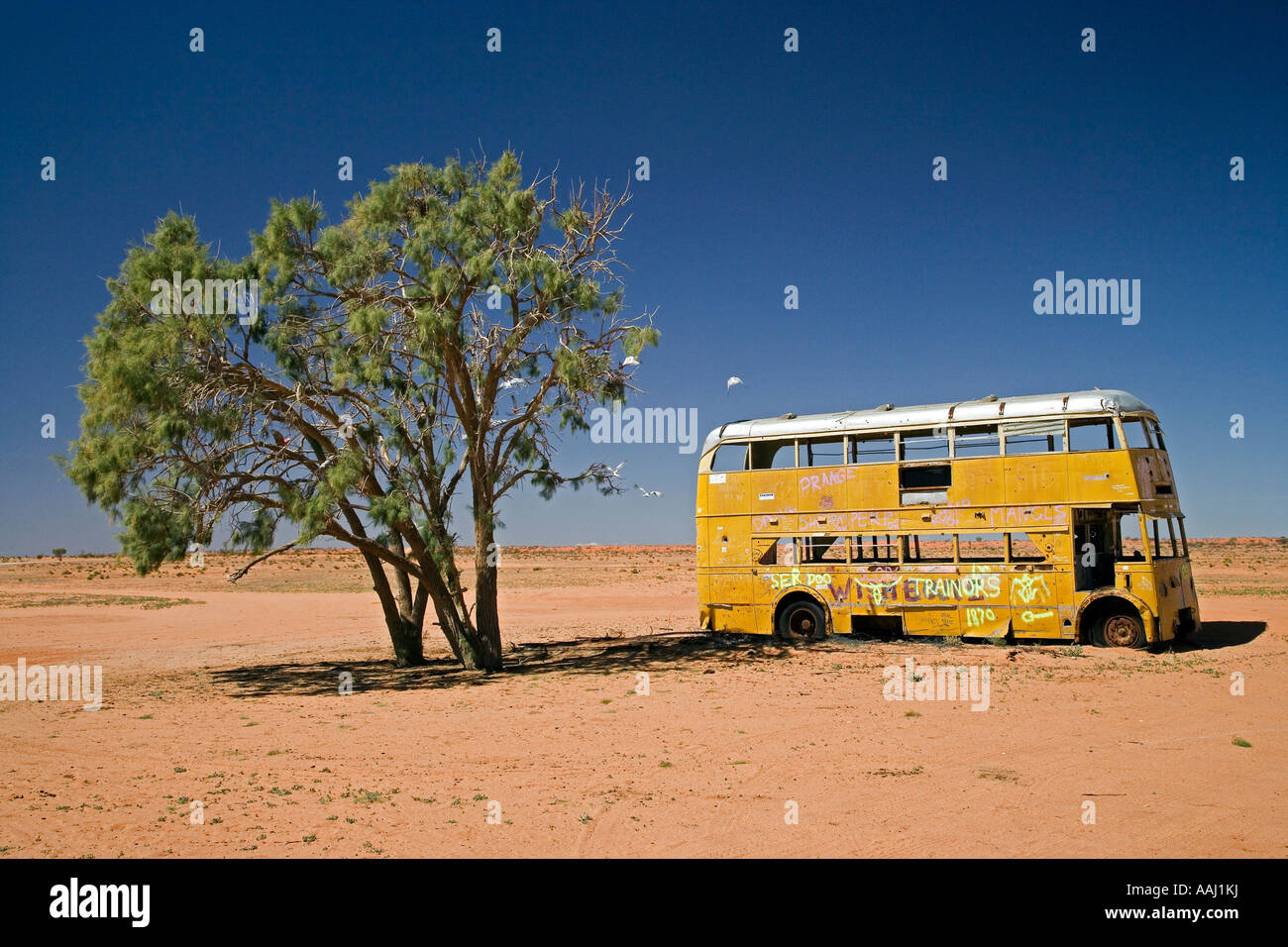 Derelict Double Decker Bus and Desert Oak Camerons Corner Strzelecki ...