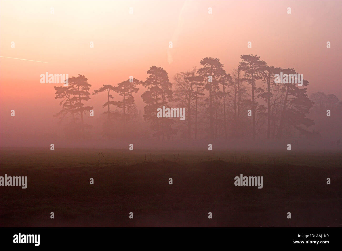 Water_meadow hi-res stock photography and images - Alamy