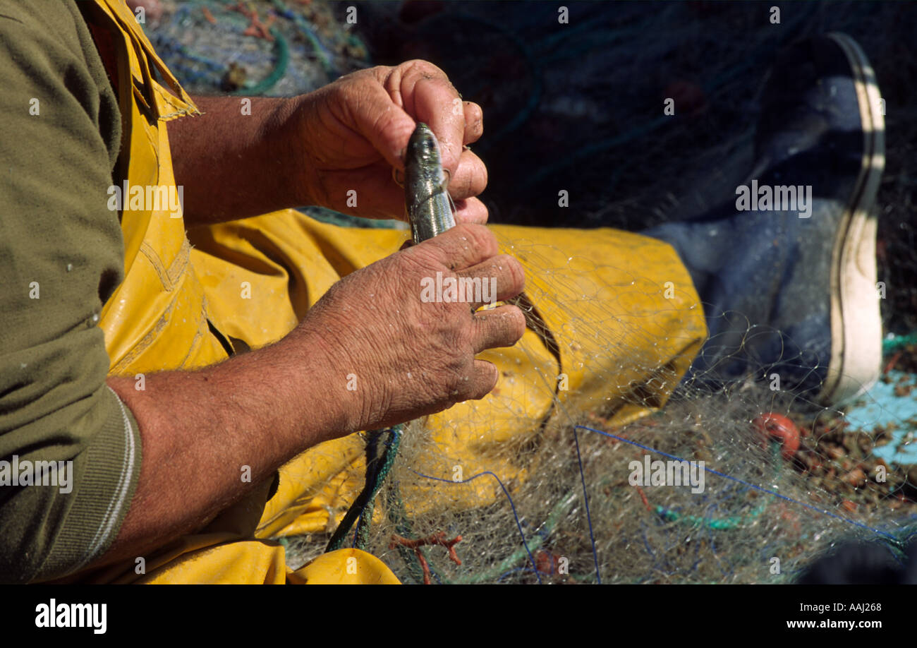 Fisherman cleaning his net Stock Photo - Alamy
