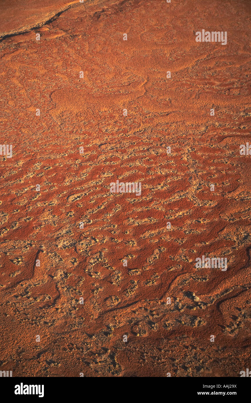Desert Patterns near William Creek Outback South Australia Australia ...