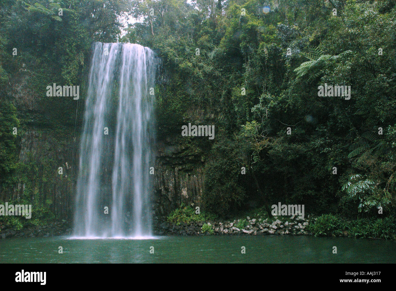 Milla Milla falls Atherton tablelands Cairns highlands north Queensland ...