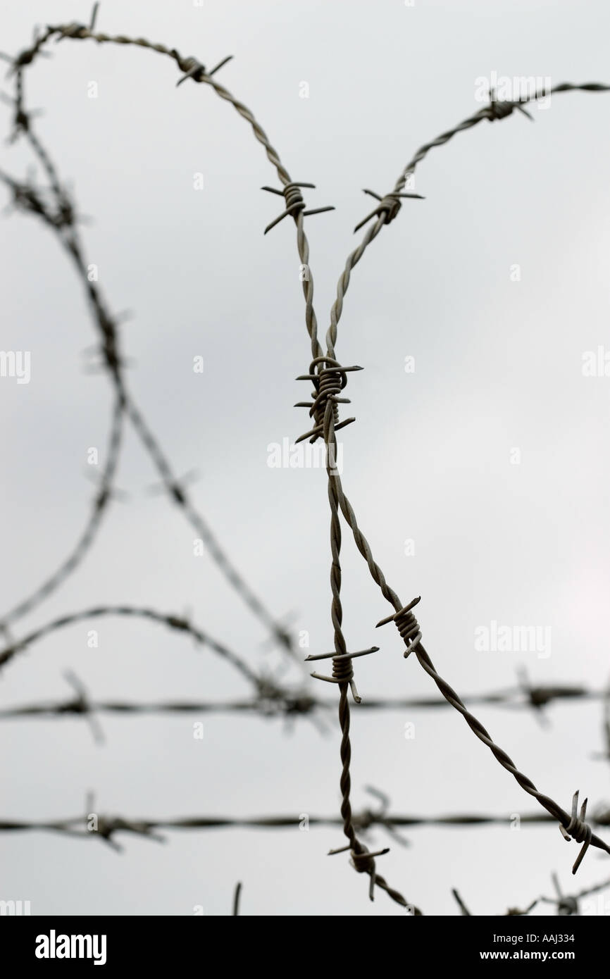 Barbed wire fortifications hi-res stock photography and images - Alamy
