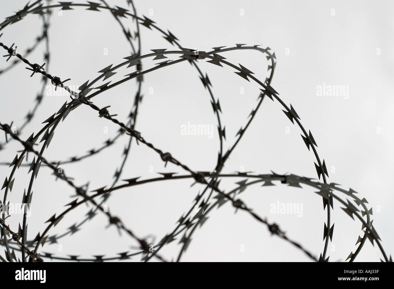 Razor wire injury hi-res stock photography and images - Alamy