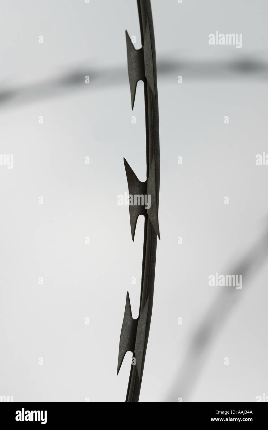 Razor wire injury hi-res stock photography and images - Alamy