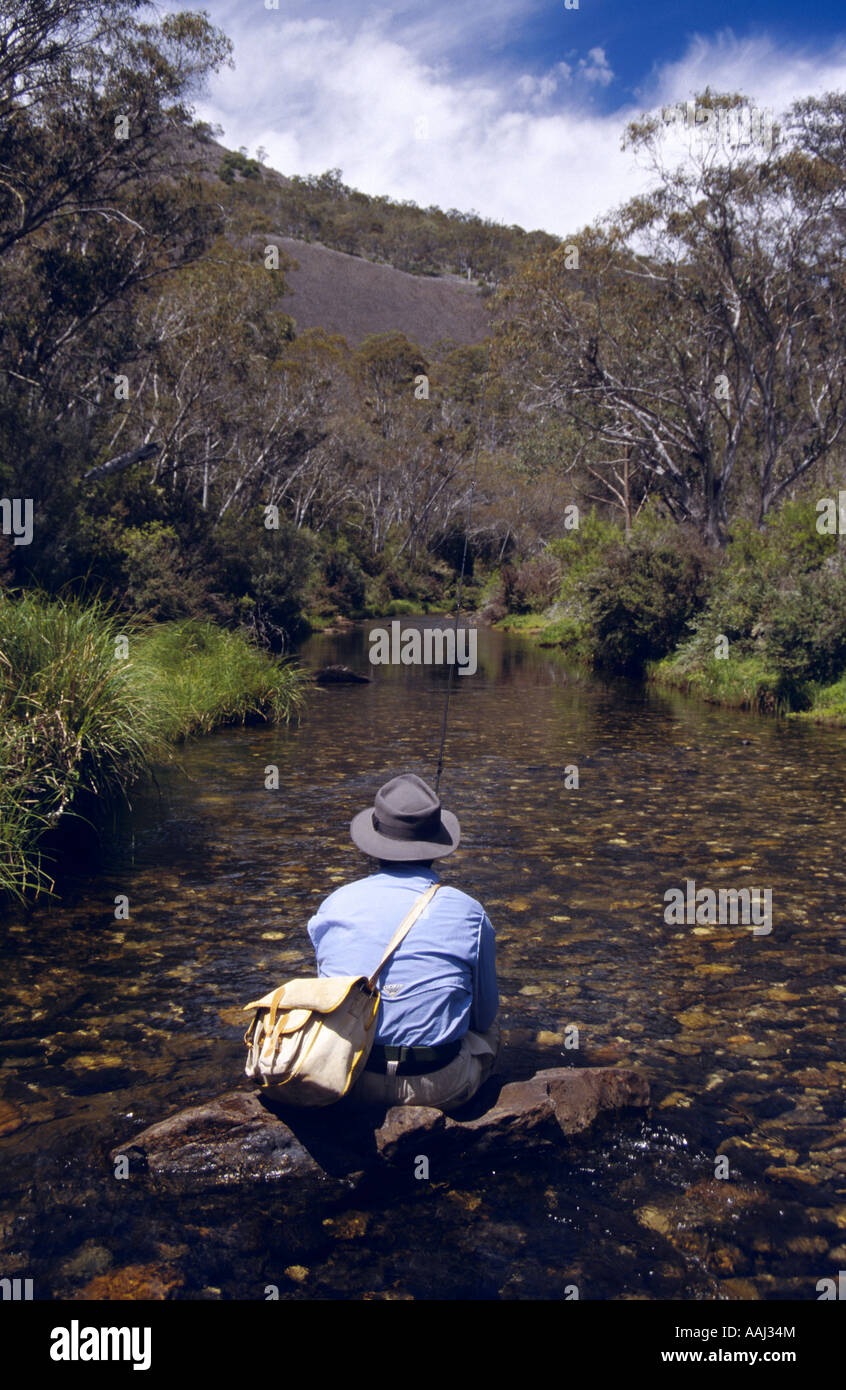 Fly fishing, Cobungra River, , NEVictoria, Australia Stock Photo - Alamy