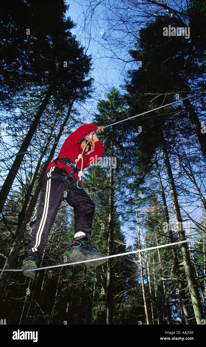 tree climber walking on a rope Stock Photo - Alamy