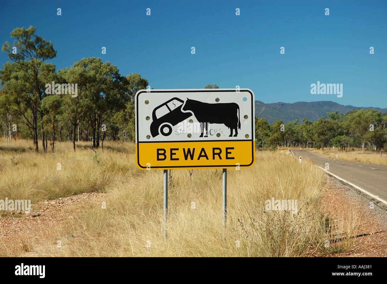 The big cow australia hi-res stock photography and images - Alamy