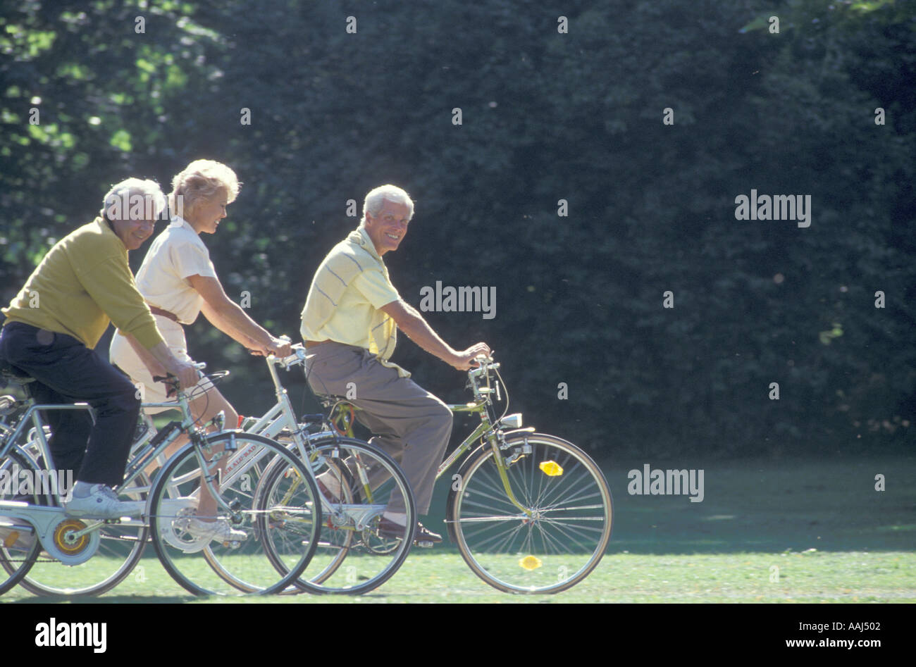 group of seniors cycling Stock Photo - Alamy