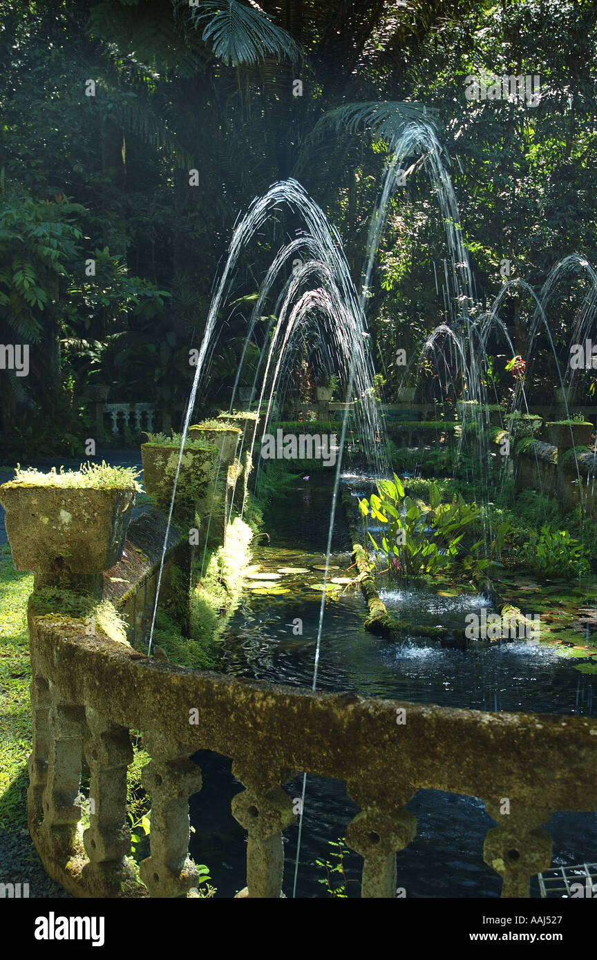 Ancient moss covered fountain in Asian garden spray dsc 0264 Stock ...