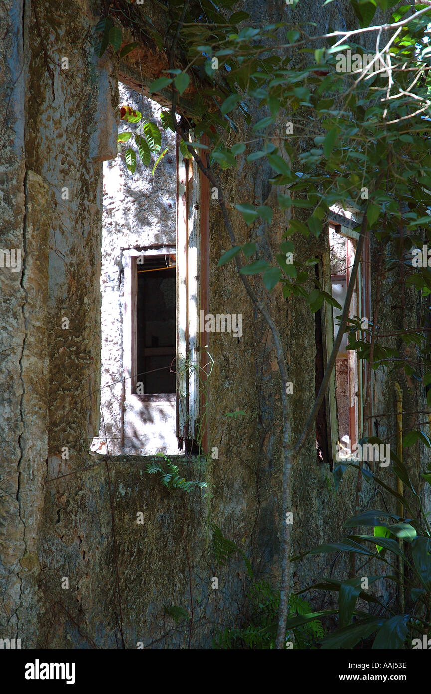 old castle in ruins decay in rainforest folly dsc 0300 Stock Photo - Alamy