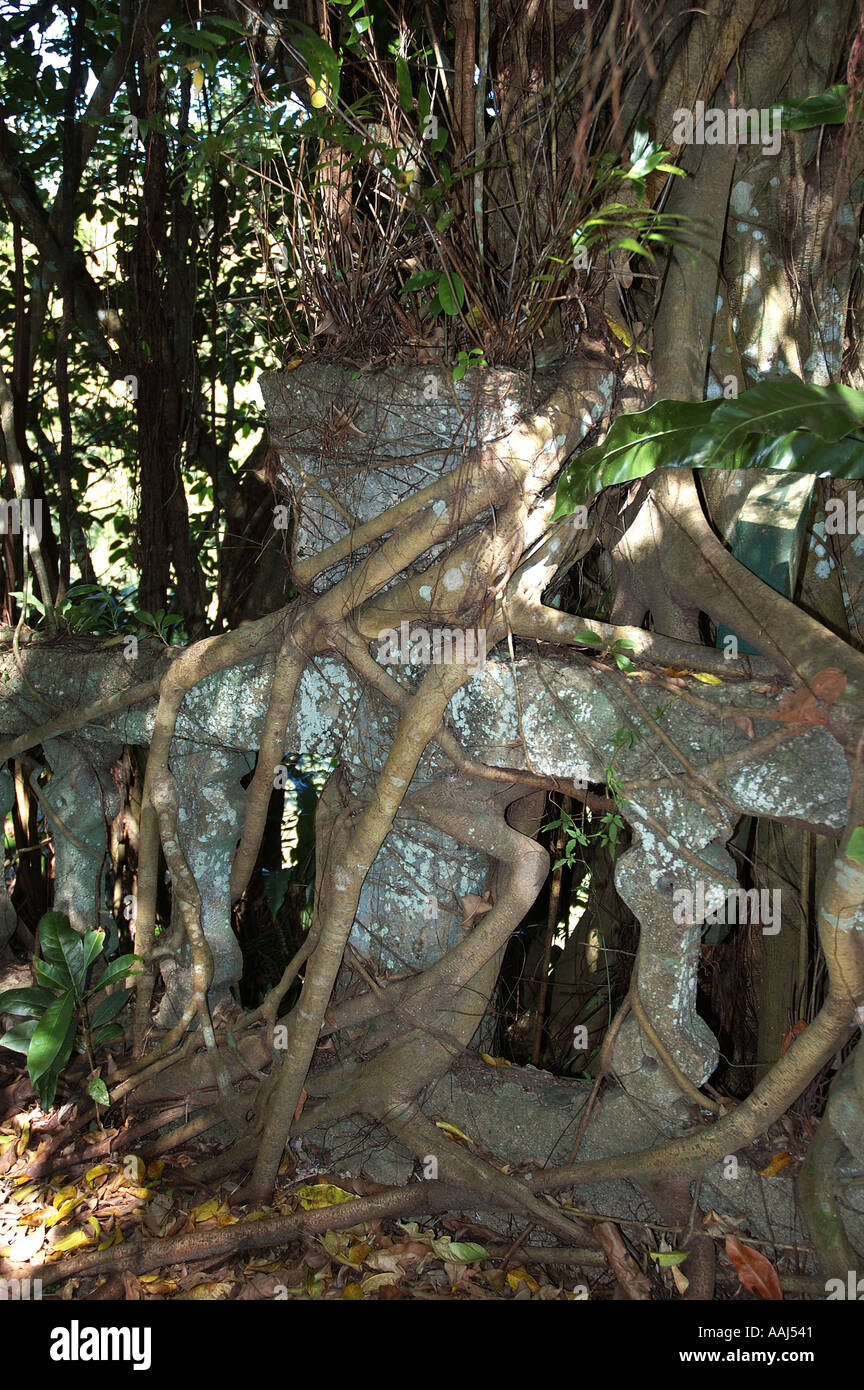 0303 hi-res stock photography and images - Alamy