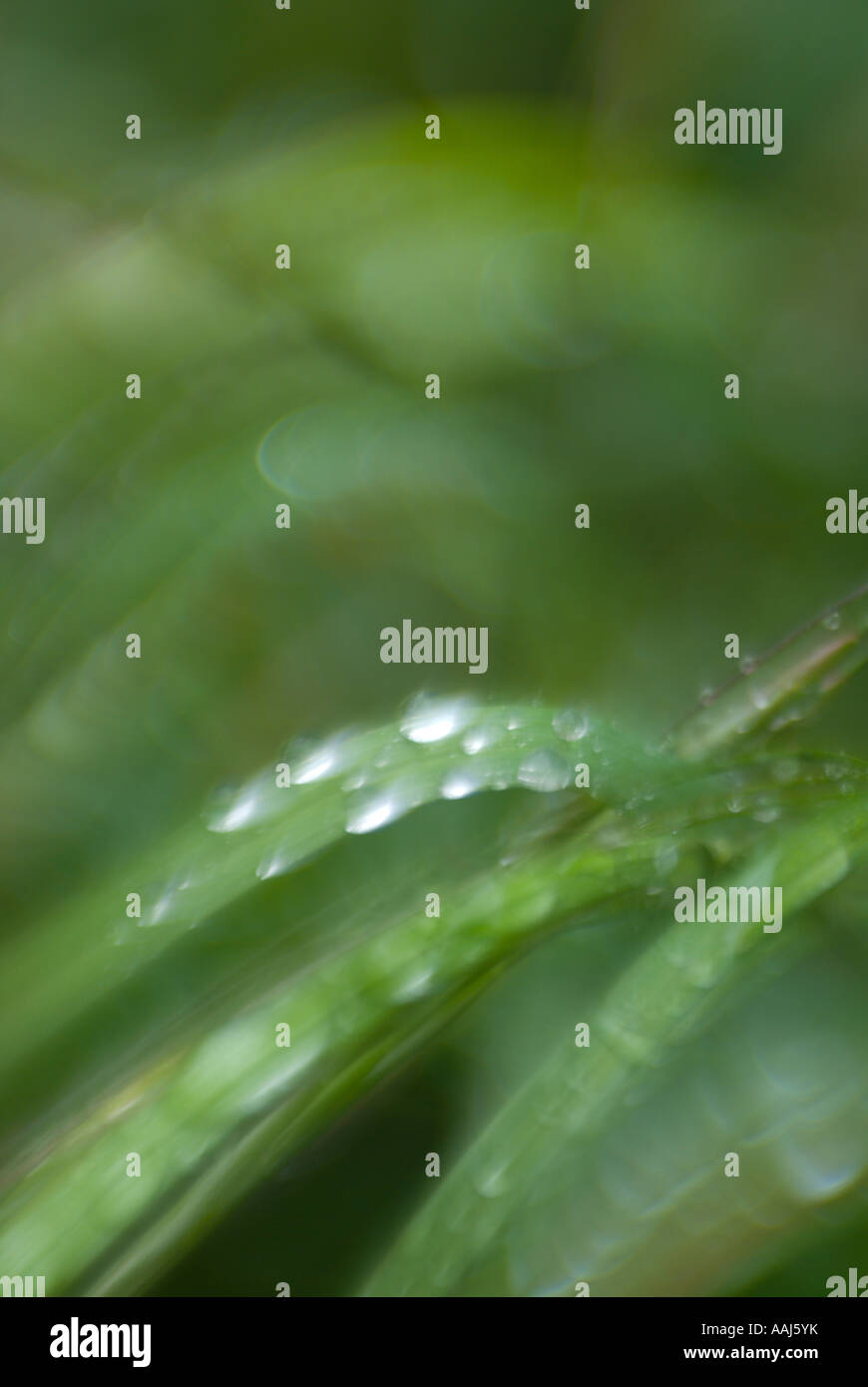 Impression of living hi-res stock photography and images - Alamy