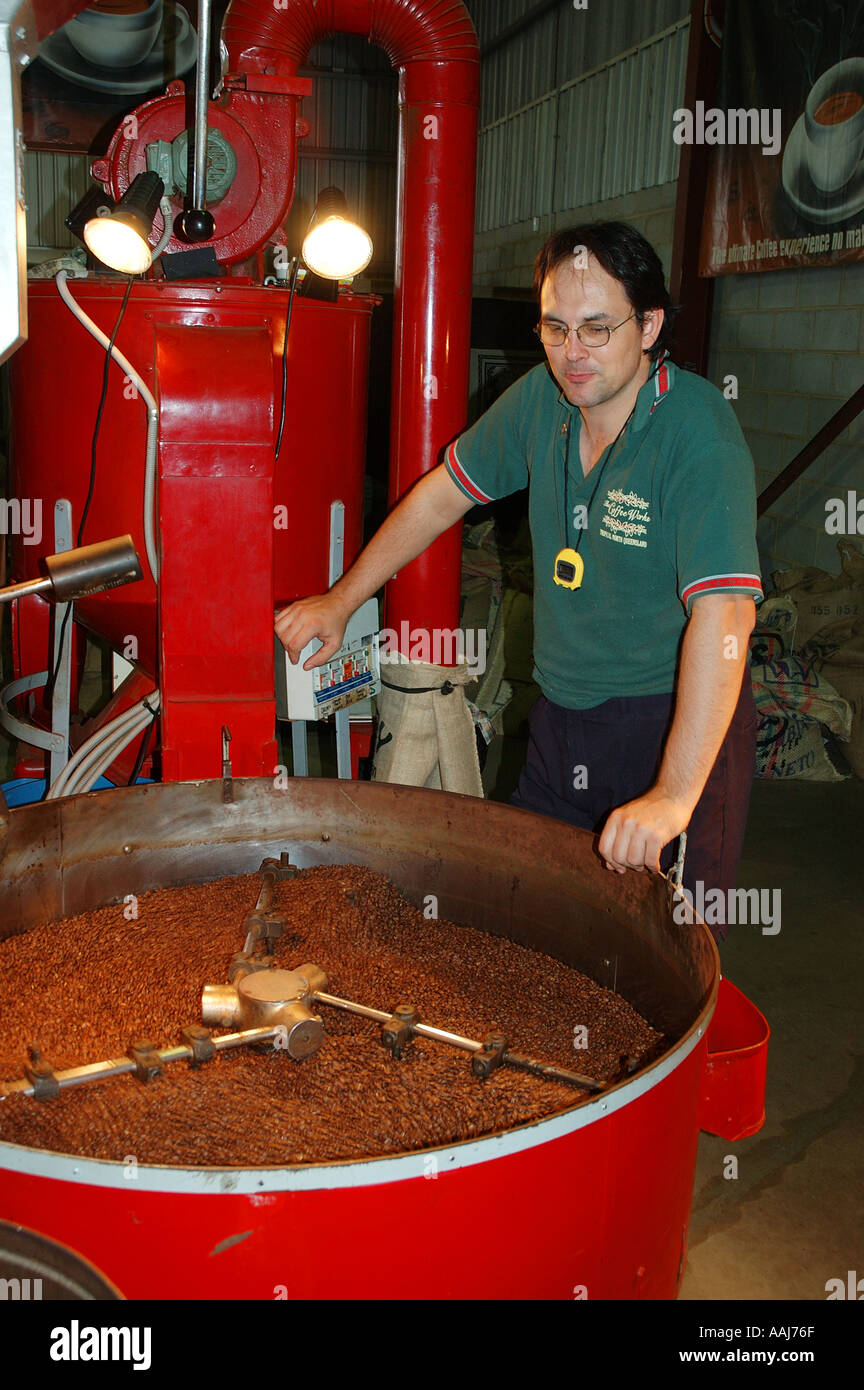 Man expert sorting checking roast coffee beans Atherton Queensland ... Man expert sorting checking roast coffee beans Atherton Queensland ...