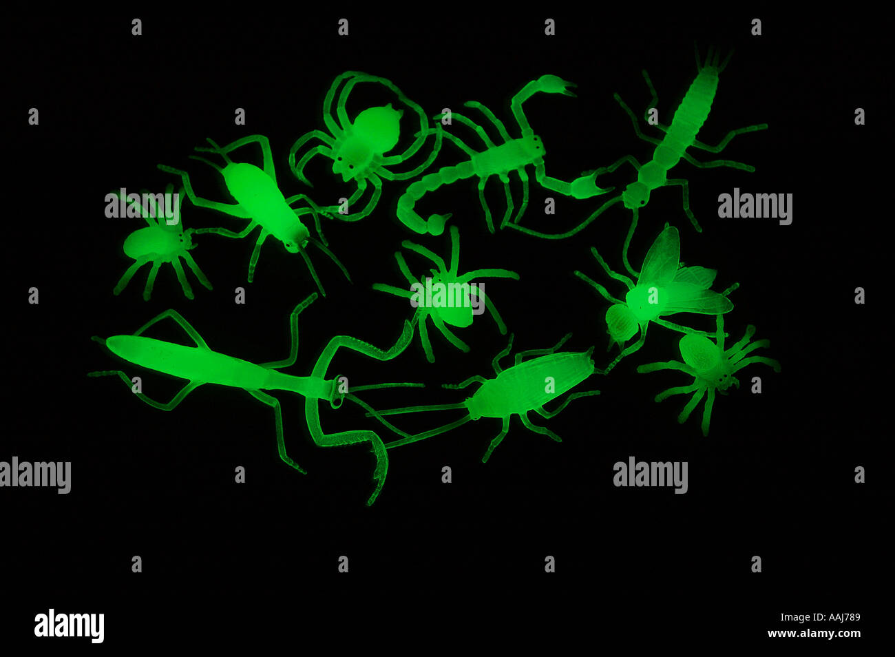 Pest exterminators nightmare dream glow in the dark bugs dsc 1582 Stock ...