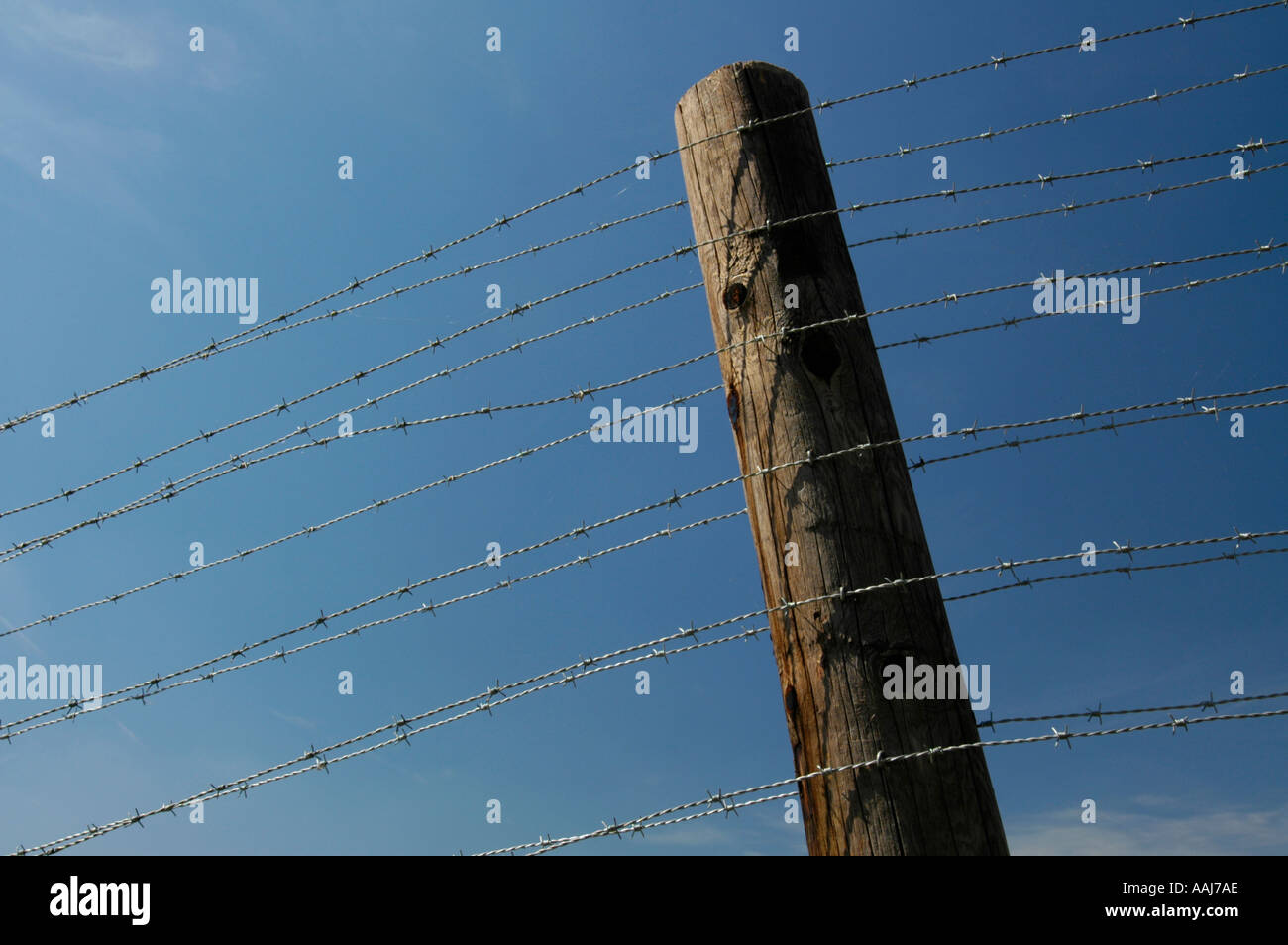 Border crossing barbed wire hi-res stock photography and images - Alamy