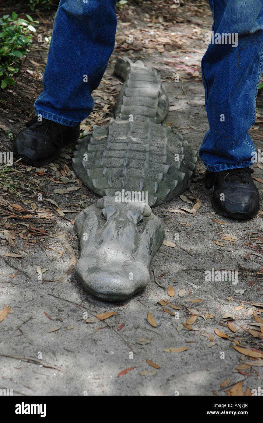 man standing over concrete alligator sculpture Stock Photo - Alamy