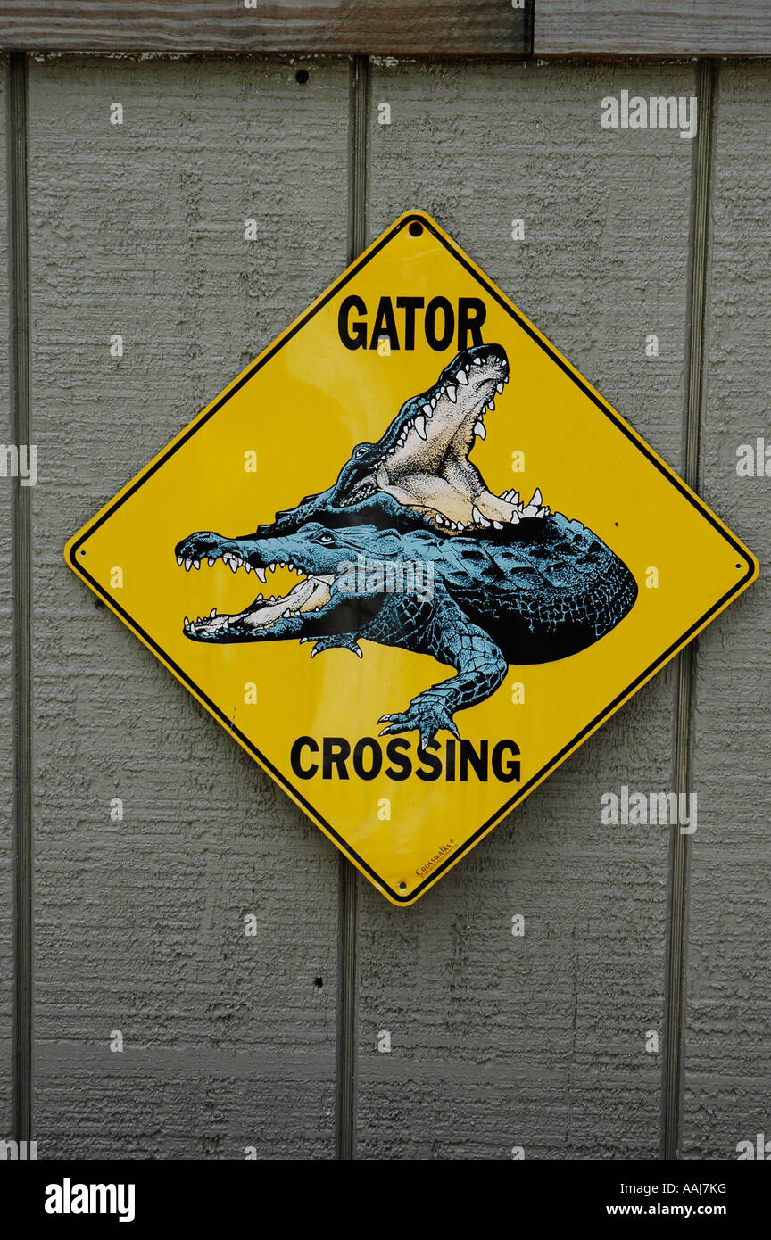 alligator warning sign on wall, Charleston, SC Stock Photo - Alamy