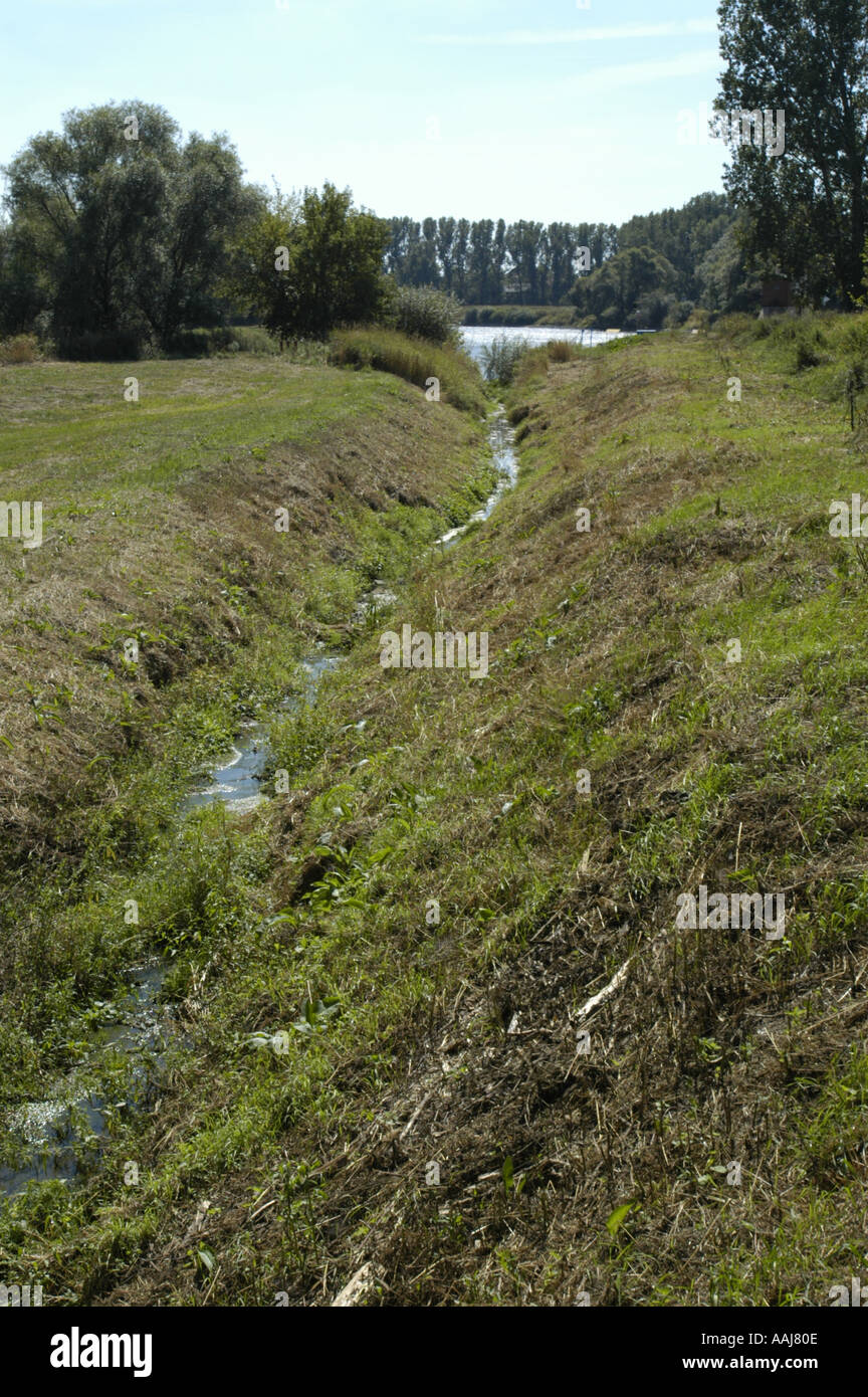 drainage channel at river March near Angern Stock Photo - Alamy