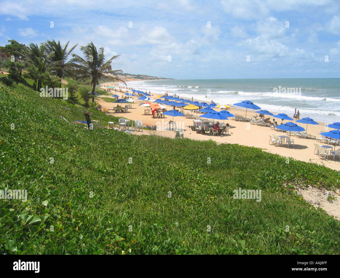 Beach life on Praia do Ponta Negra beach in Natal Brazil Stock Photo ...