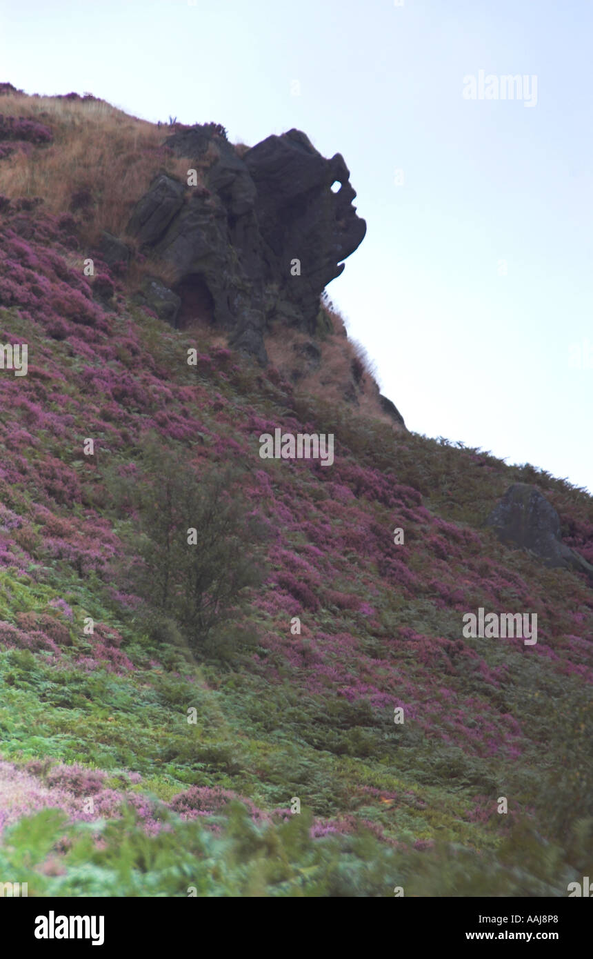 Winking Man of The Roaches in the Peak District Stock Photo - Alamy