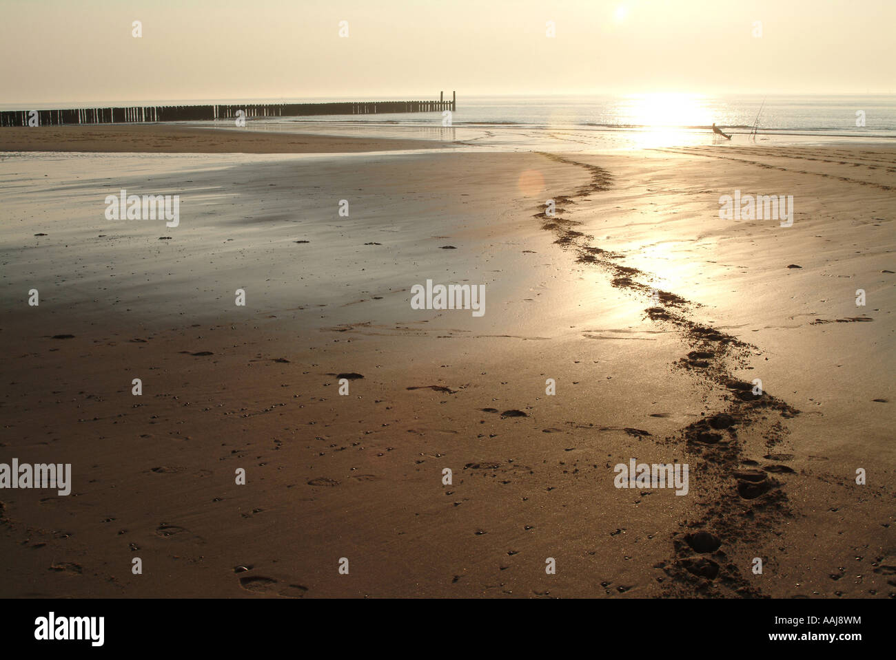 At the beach Stock Photo - Alamy