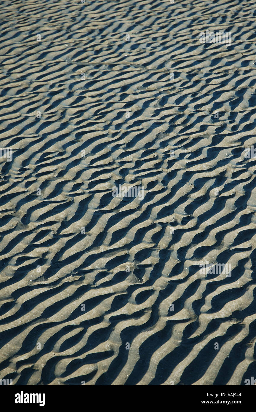 Yellow sand ripple marks in hi-res stock photography and images - Alamy