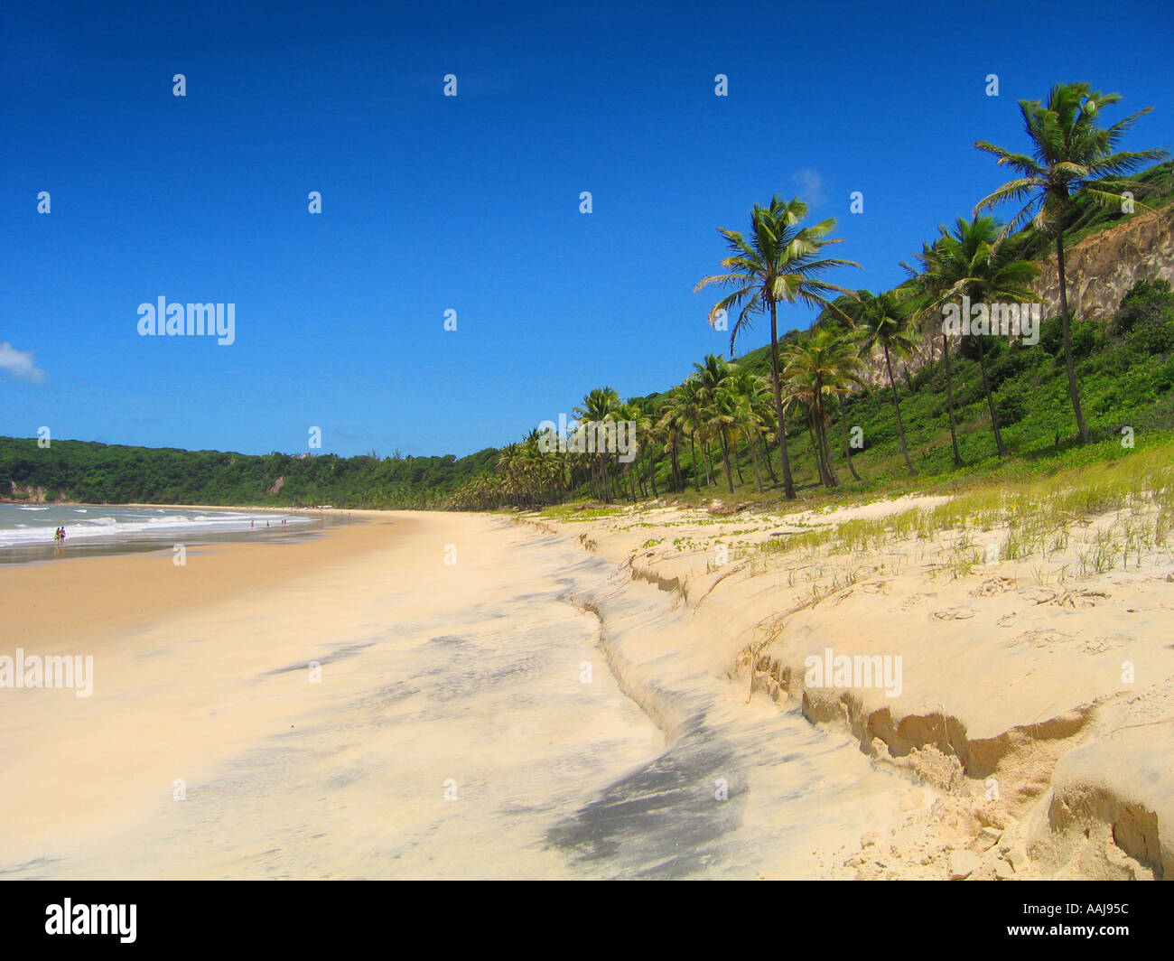 Praia do madeiro beach hi-res stock photography and images - Alamy