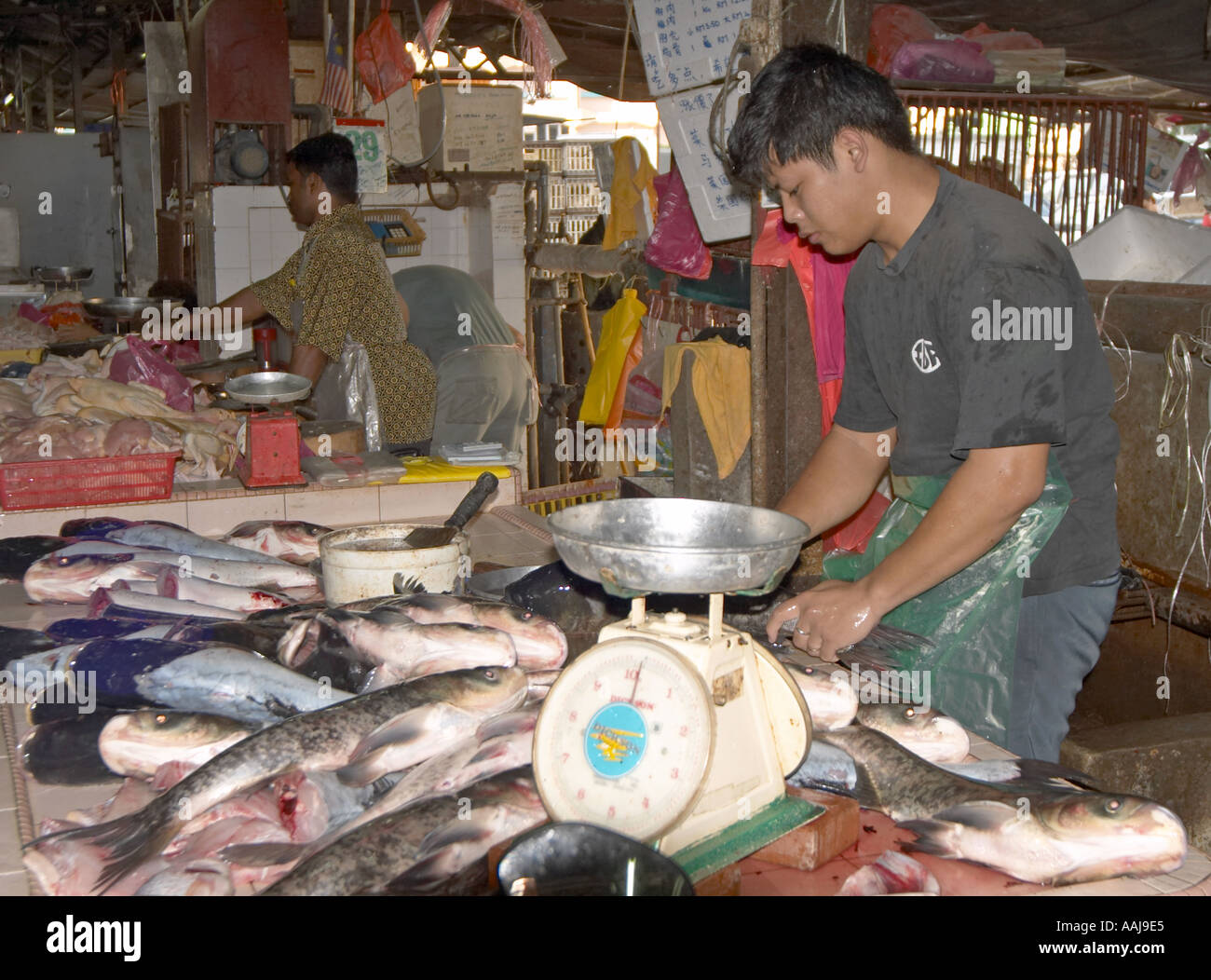 Kuala Lumpur Chinese fish market Stock Photo - Alamy