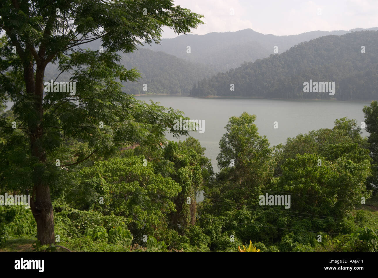 Lake Temenggor view from Banding Resort man made lake Stock Photo - Alamy
