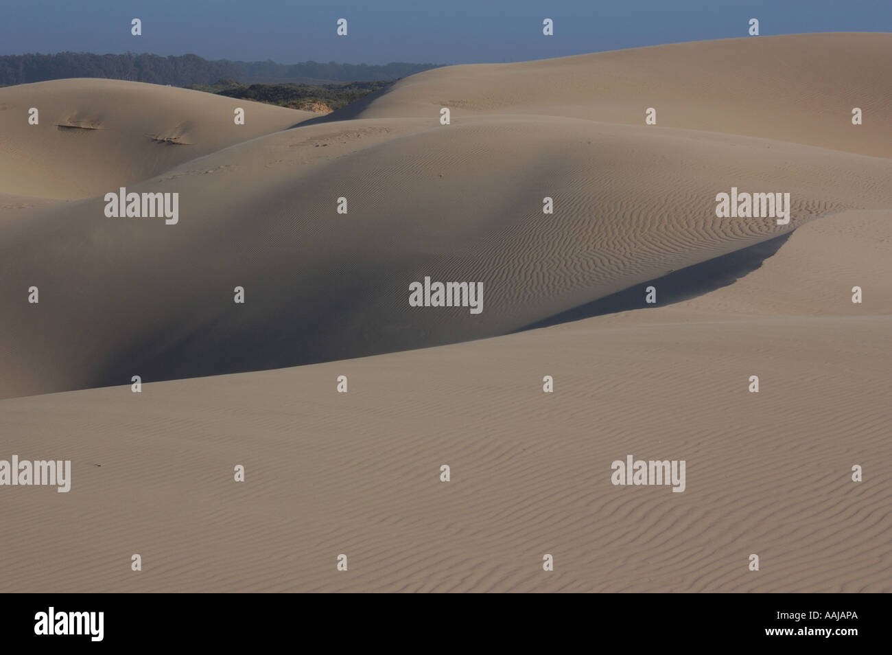 Oceano Sand Dunes Stock Photo - Alamy