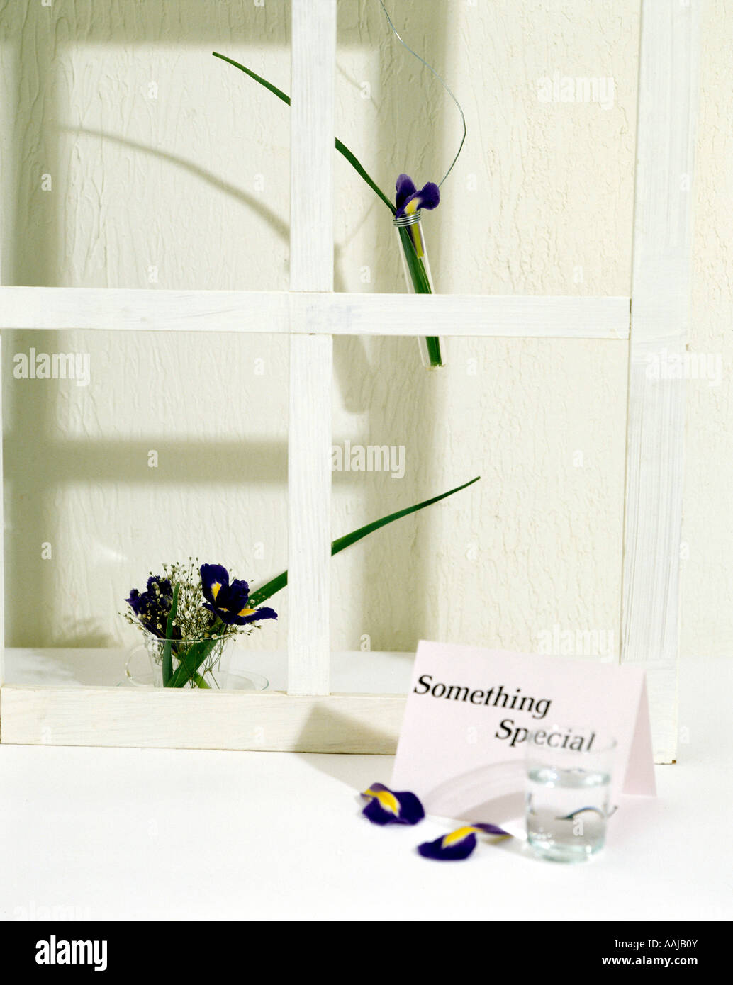 iris In window Stock Photo - Alamy