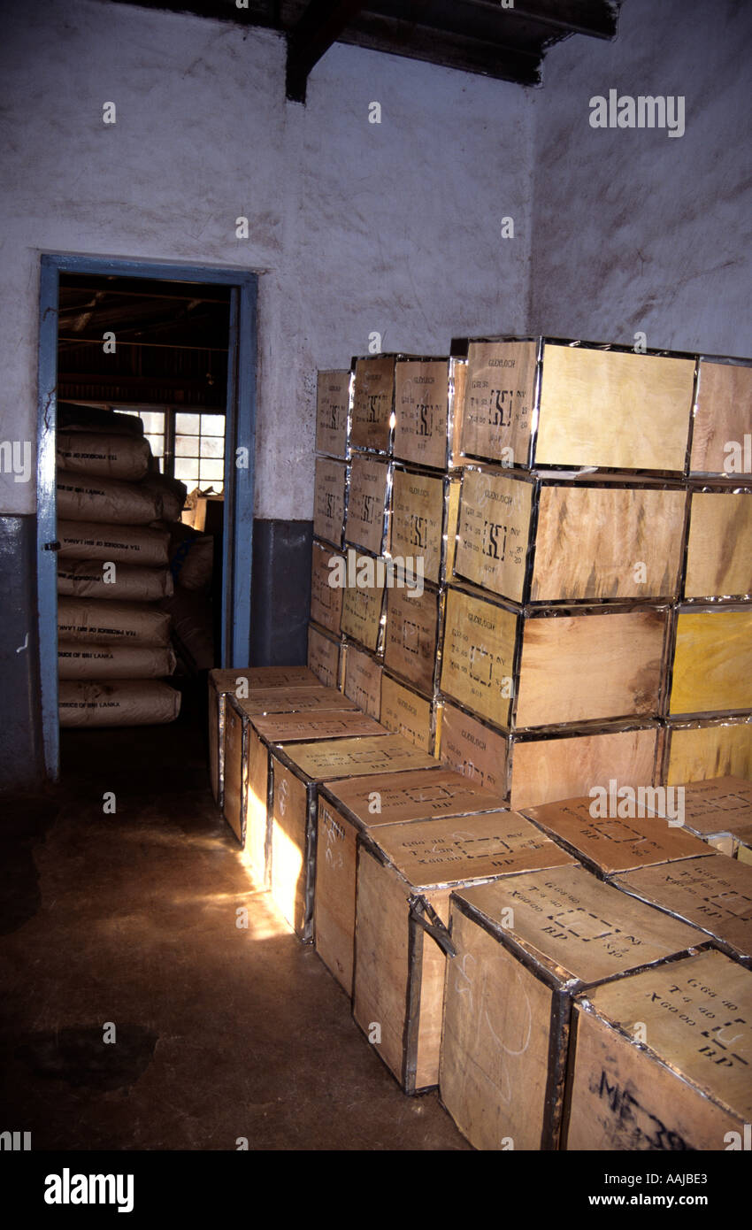 Inside a tea warehouse Sri Lanka Stock Photo - Alamy