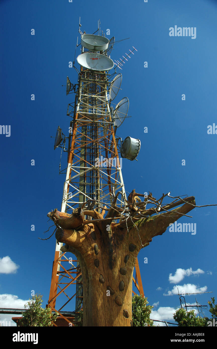 sculpture meets technology tree root stone metal tower odd strange ...