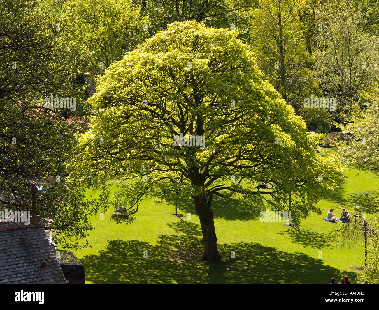 Maytime hi-res stock photography and images - Alamy