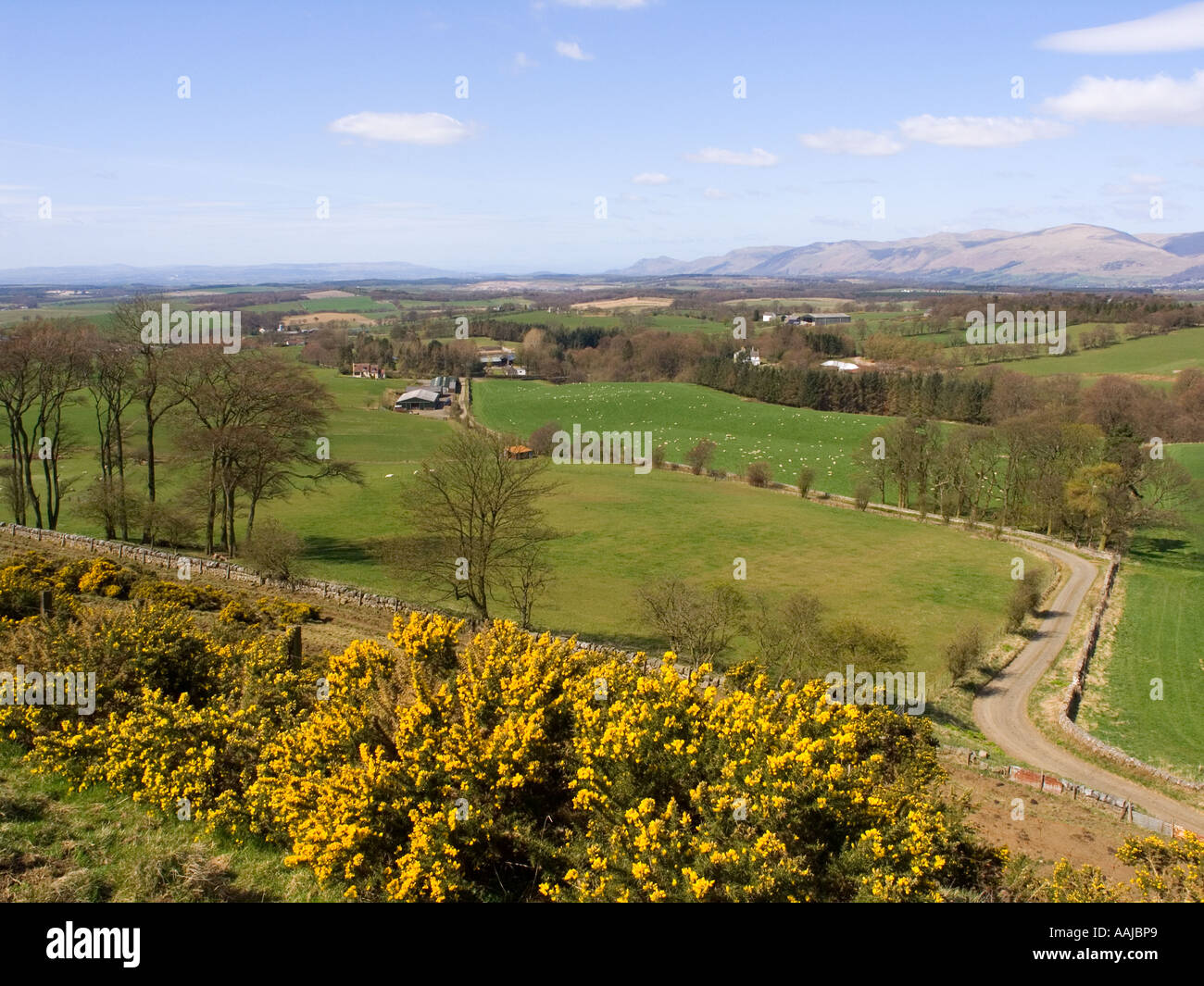 The Forth valley in Spring from Saline hill in Fife Scotland Stock ...