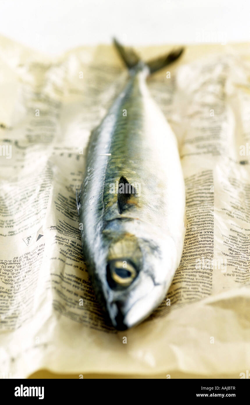 Fish newspaper hi-res stock photography and images - Alamy