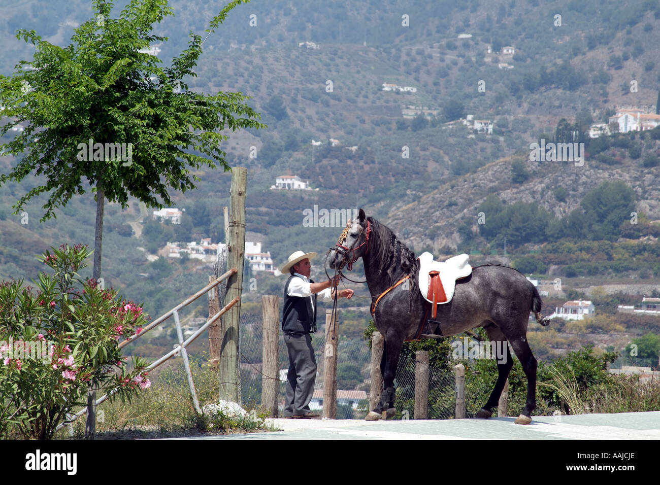 Spanish horse rider hi-res stock photography and images - Alamy
