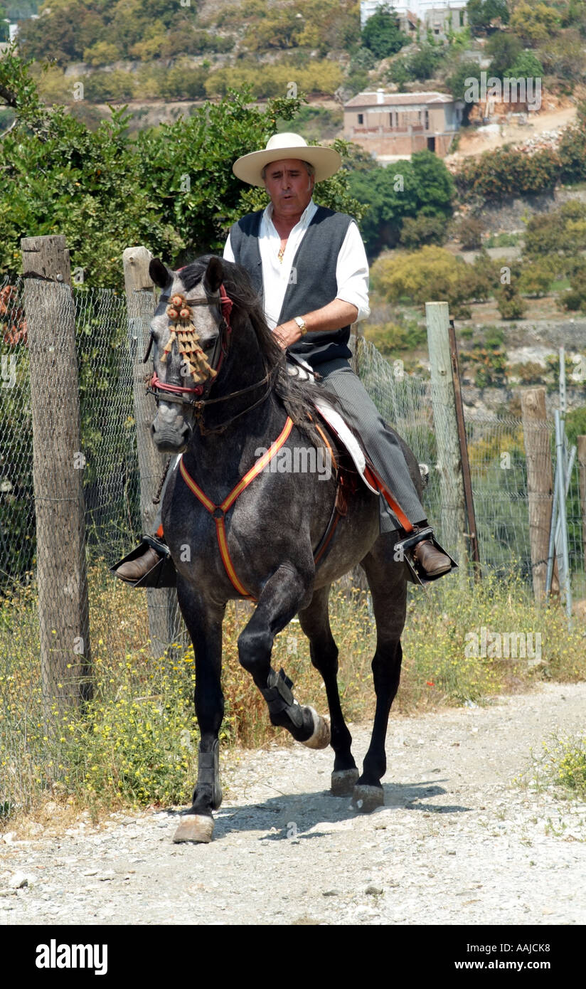Spanish horse rider Andalusia countryside southern Spain Europe EU ...