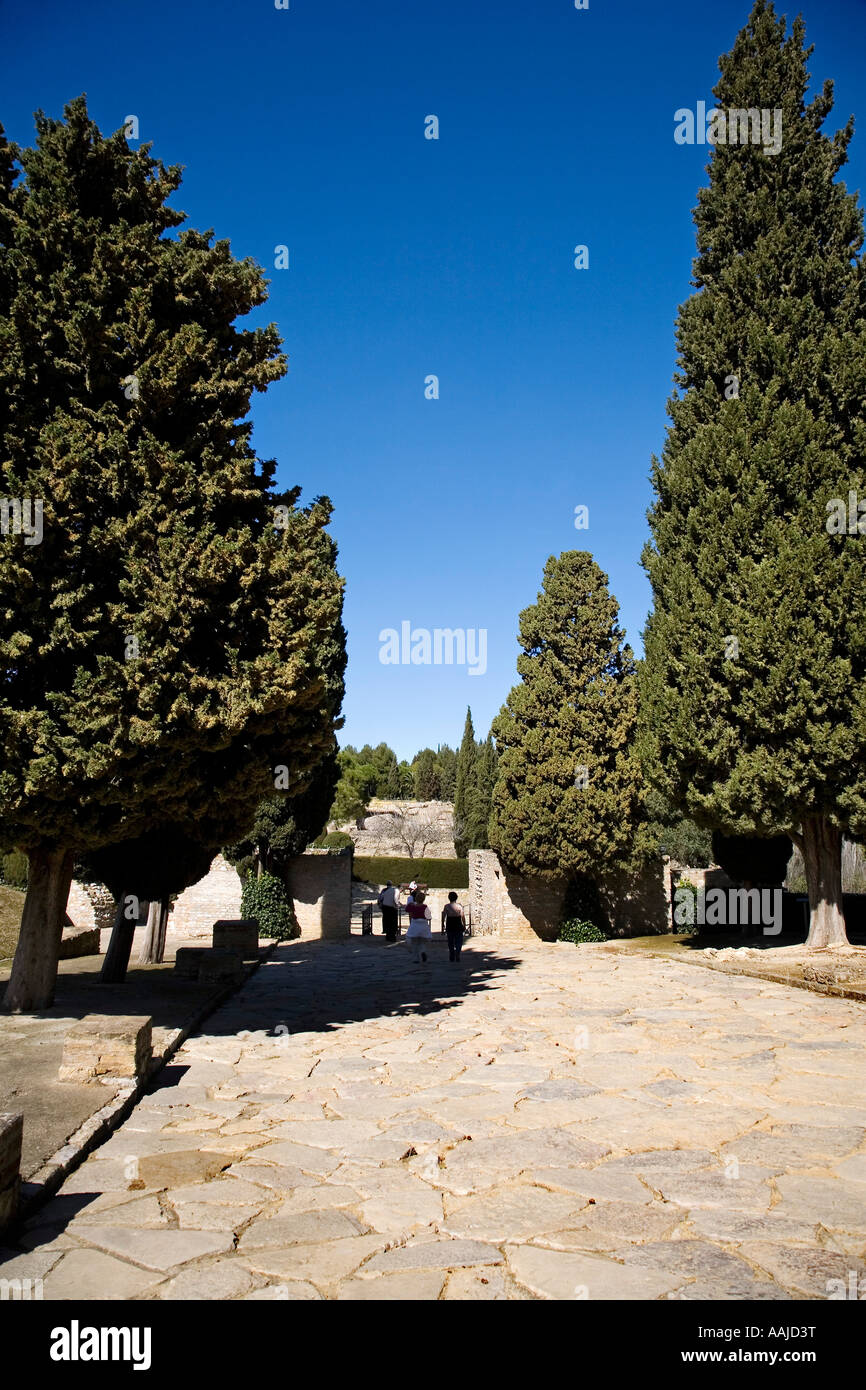 Cardo romano hi-res stock photography and images - Alamy